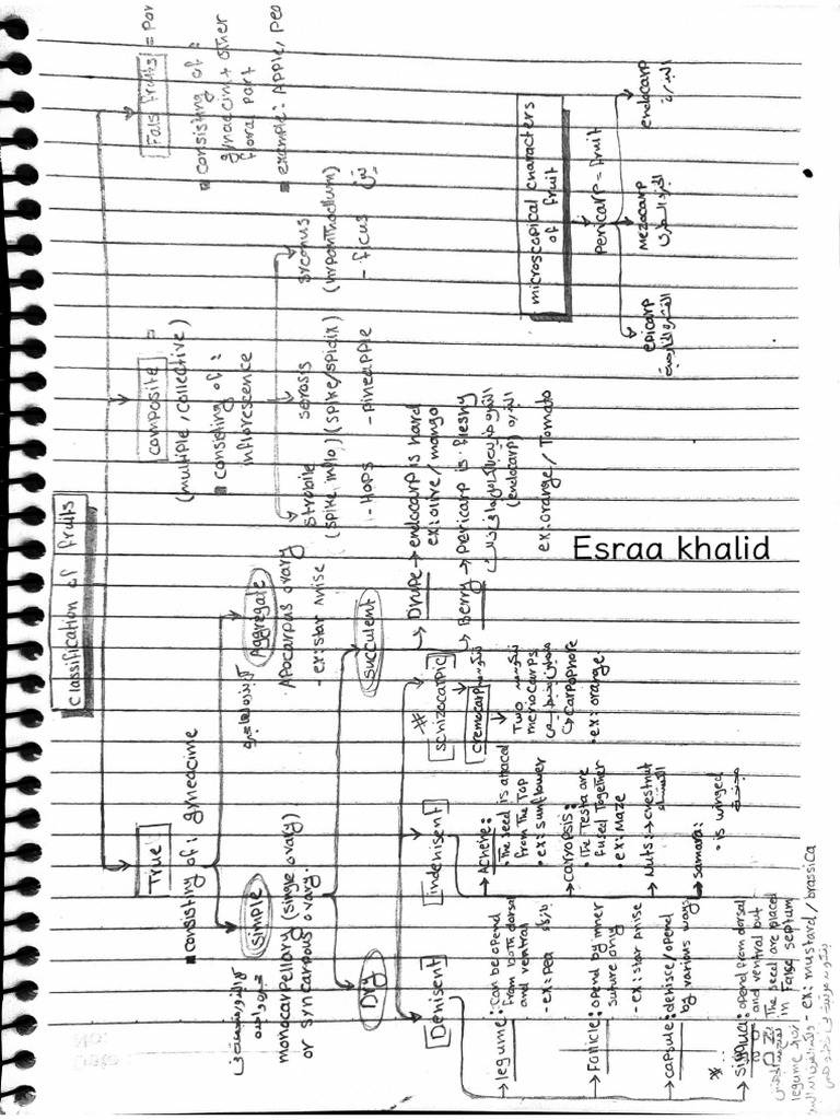 Cogno Lec 1 | PDF