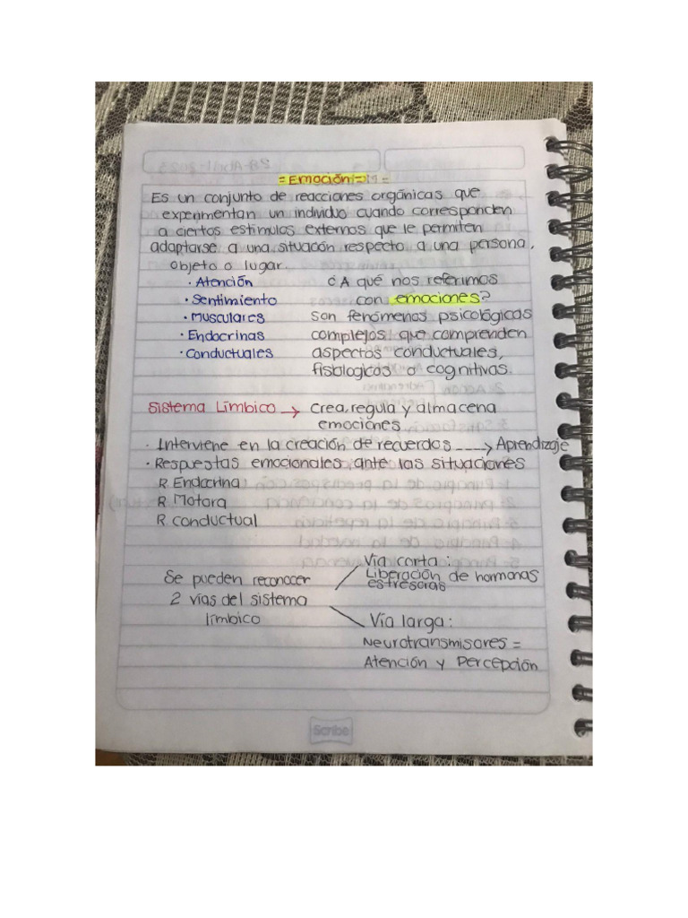 Apuntes De Emocion Pdf