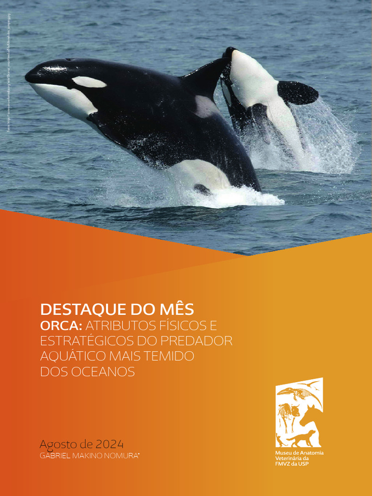Orca | PDF