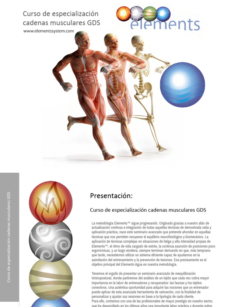 Cadenas Musculares | PDF