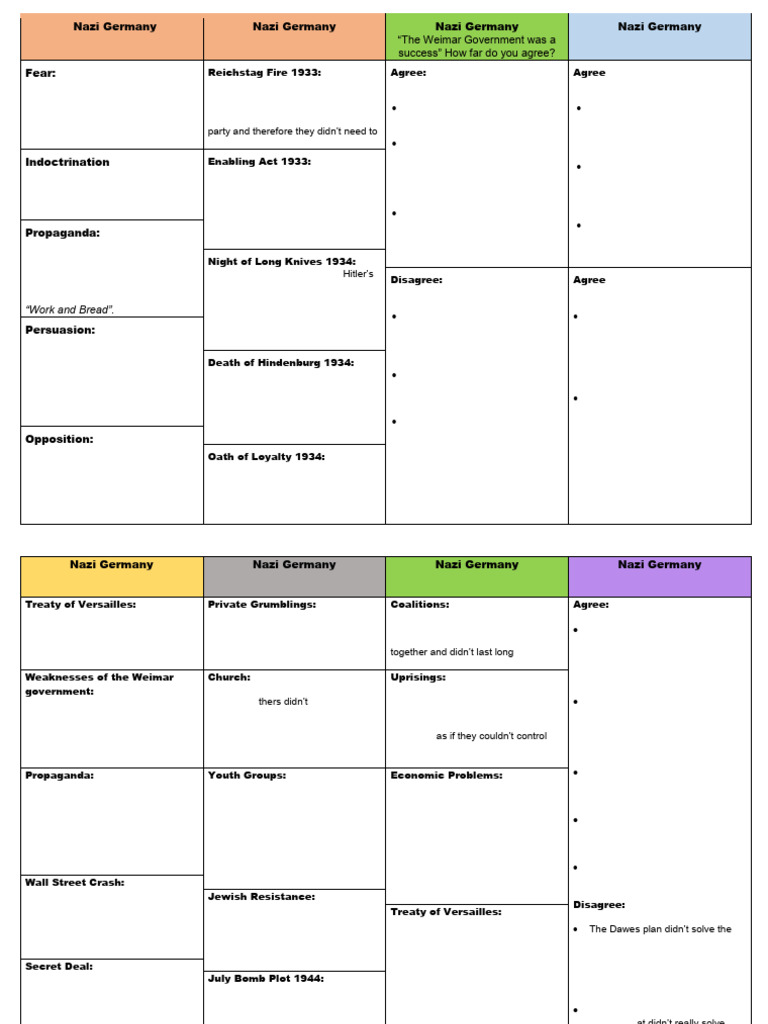 Nazi Germany Notes | PDF