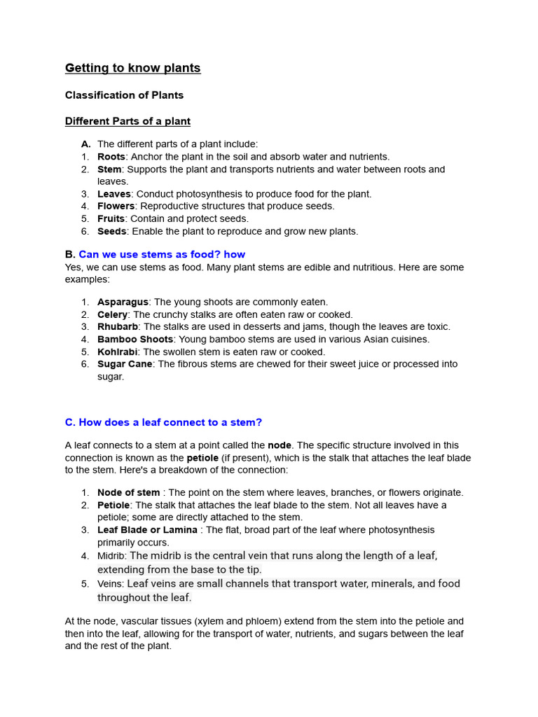 Getting To Know Plants | PDF | Leaf | Home & Garden