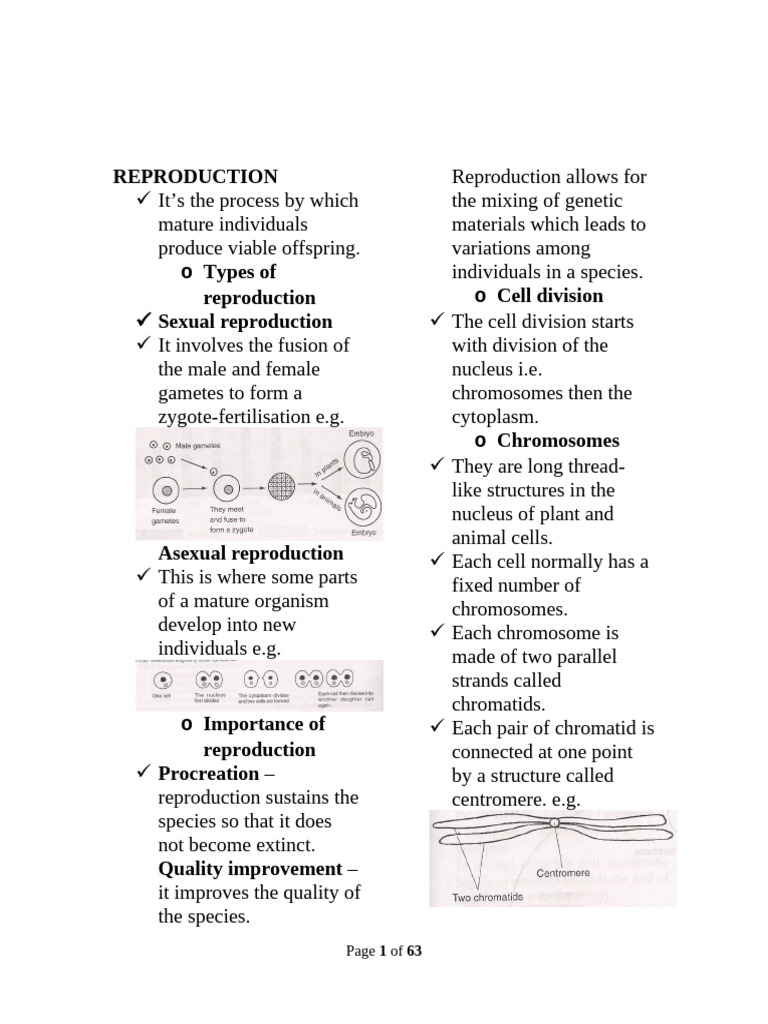Reproduction | PDF