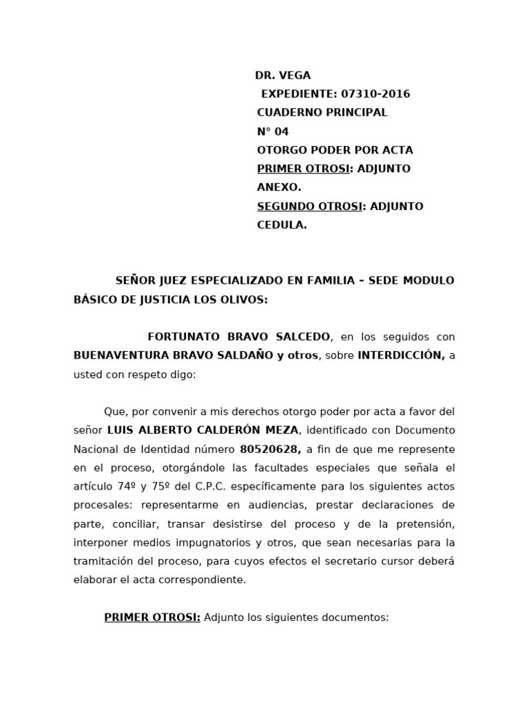 Otorgo Poder Por Acta | PDF