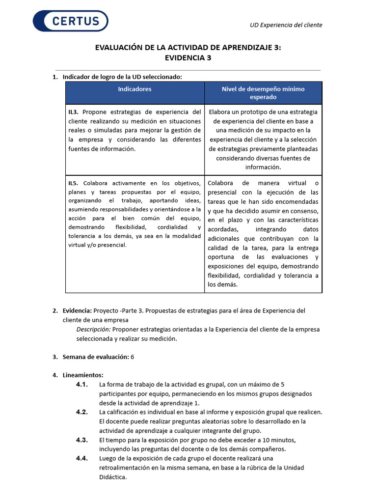 Lineamientos de Evaluación de AA3 | PDF