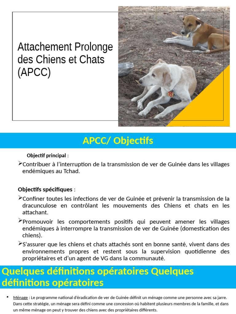 Presentation APCC | PDF