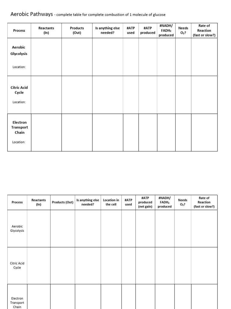 Aerobic Pathways Table | PDF