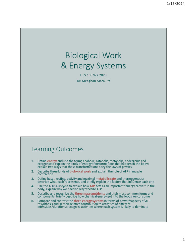 Biological Work and Energy Systems (To Post) | PDF