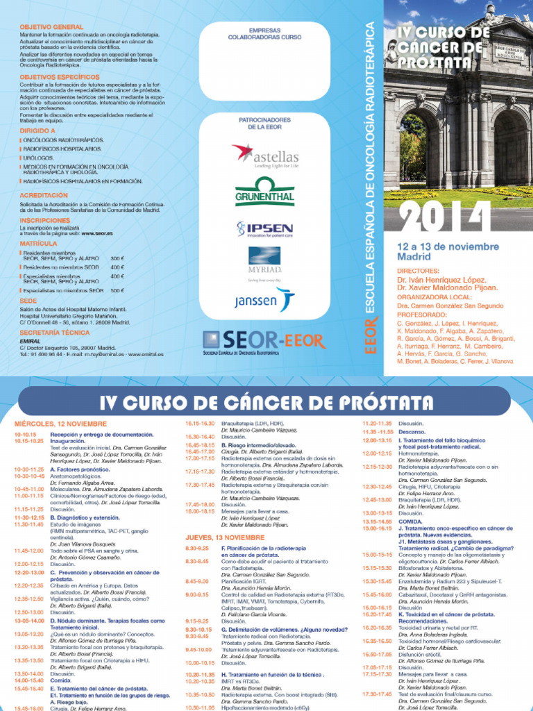 TRIPTICO-CANCER-DE-PROSTATA-BR04 | PDF