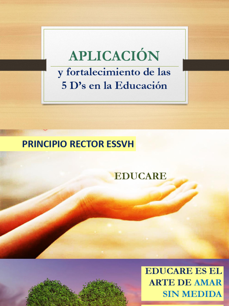 45 Aplicacion y Fortalecimento de Las 5 DS en La Educacion | PDF