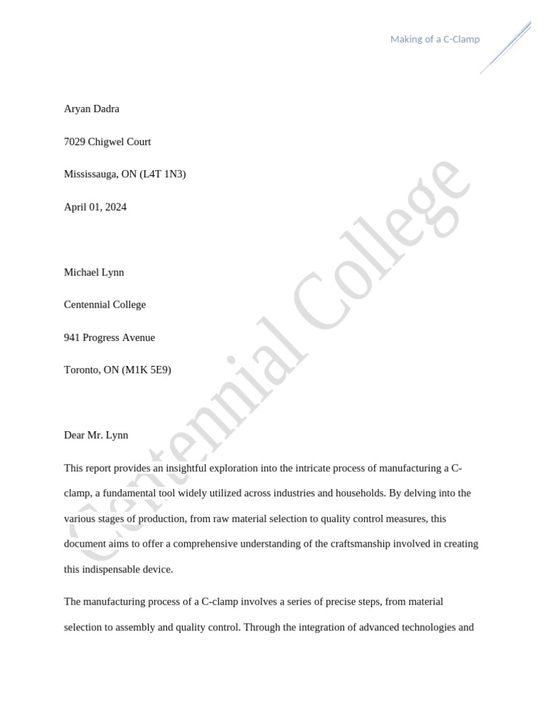 Aryan Dadra - Formal Report | PDF