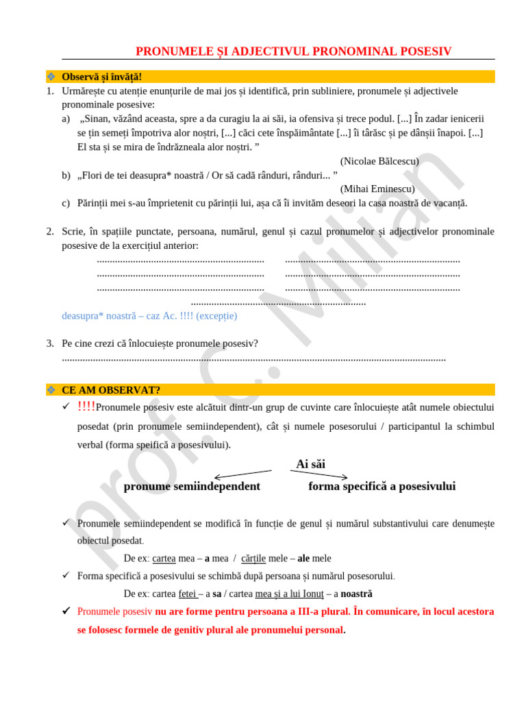 Pronumele Posesiv | PDF