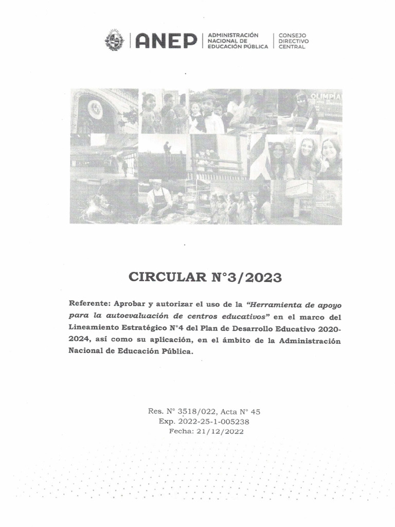 Circular AUTOEVALUACIÓN (Subrayado) | PDF