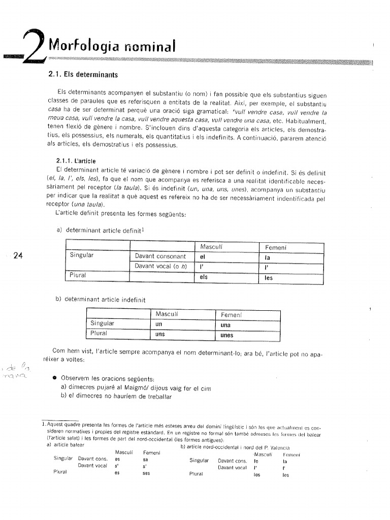 Determinants (Article, Demostratius, Possessius) | PDF