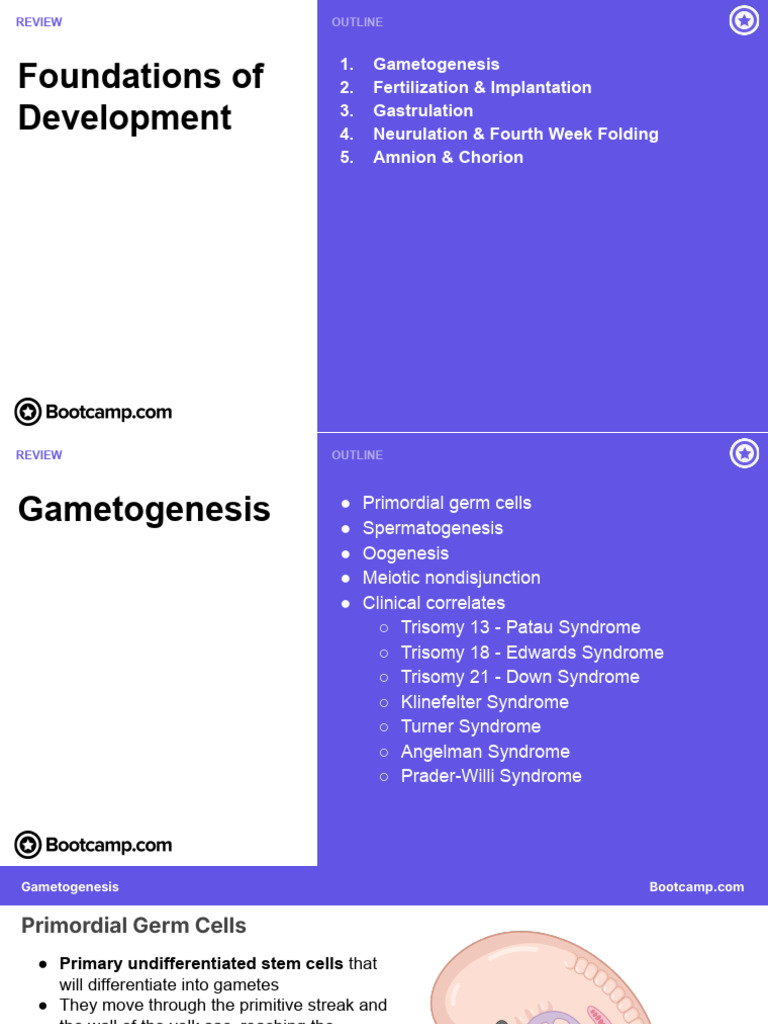 Unit 1 - Foundations of Development | PDF