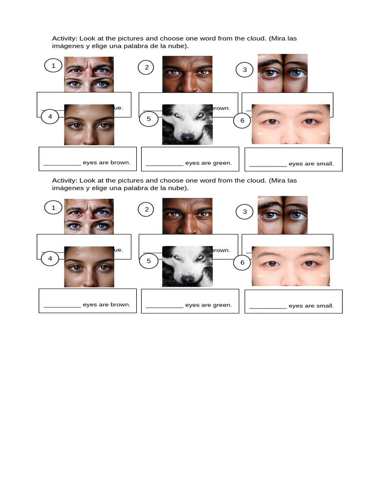 Choose Activity | PDF