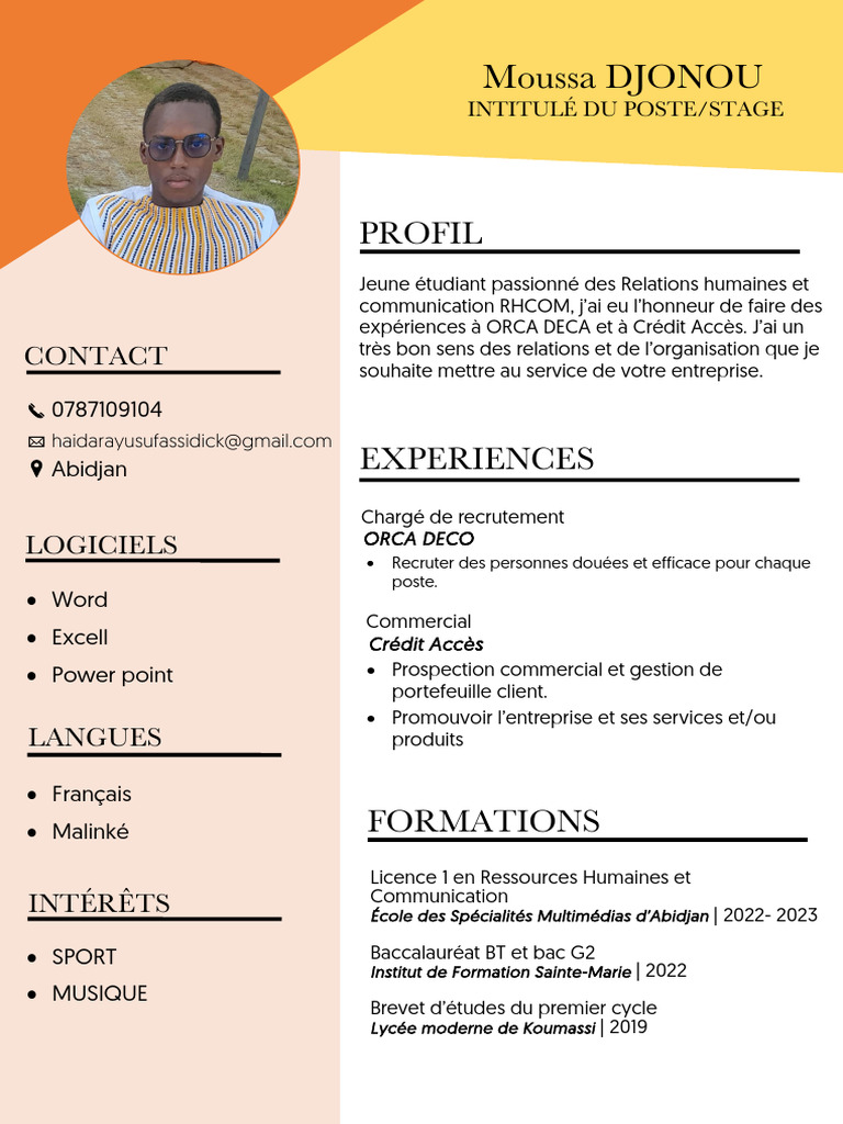CV Moussa | PDF
