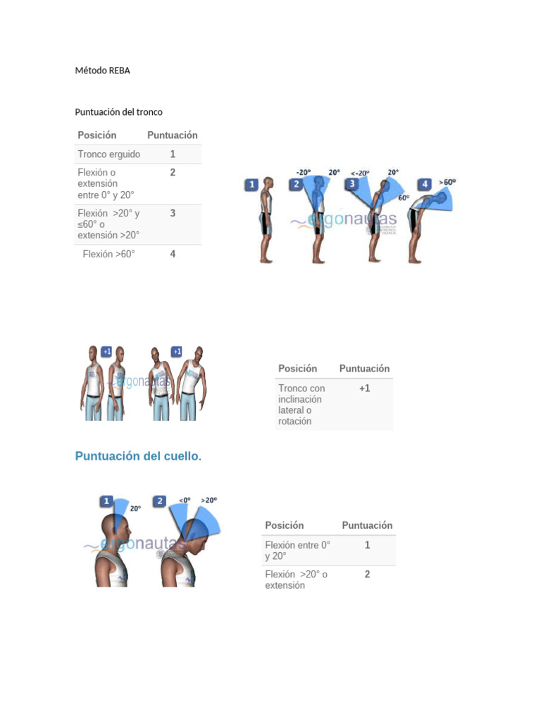 metodo REBA | PDF