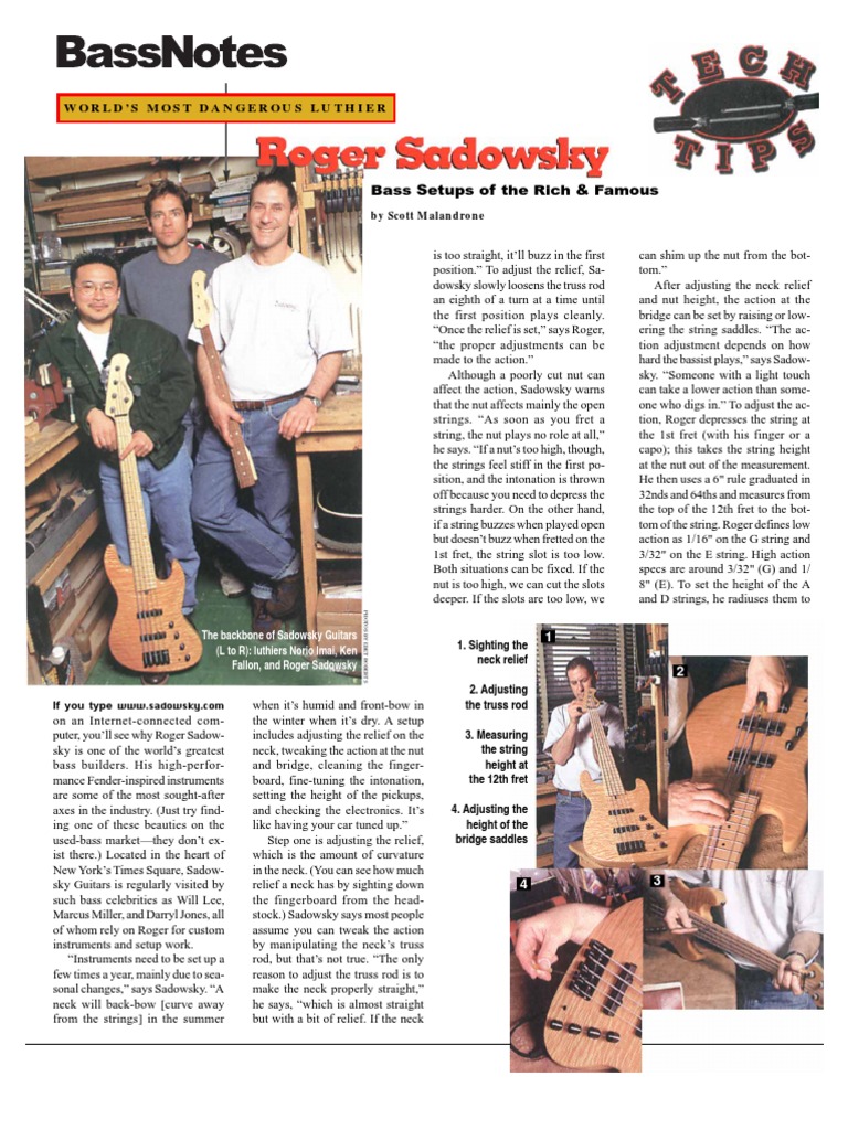 Bass Setup | PDF | Guitars | Bass Guitar