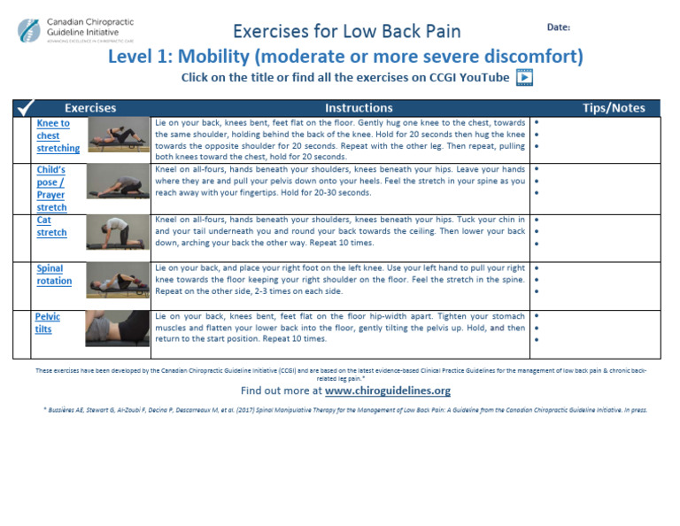 LBP Exercises Level 1 Mobility | PDF