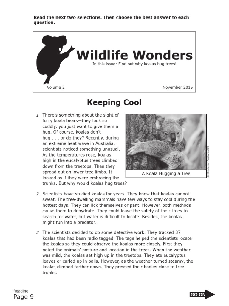 Wildlife Wonders and Spongers | PDF