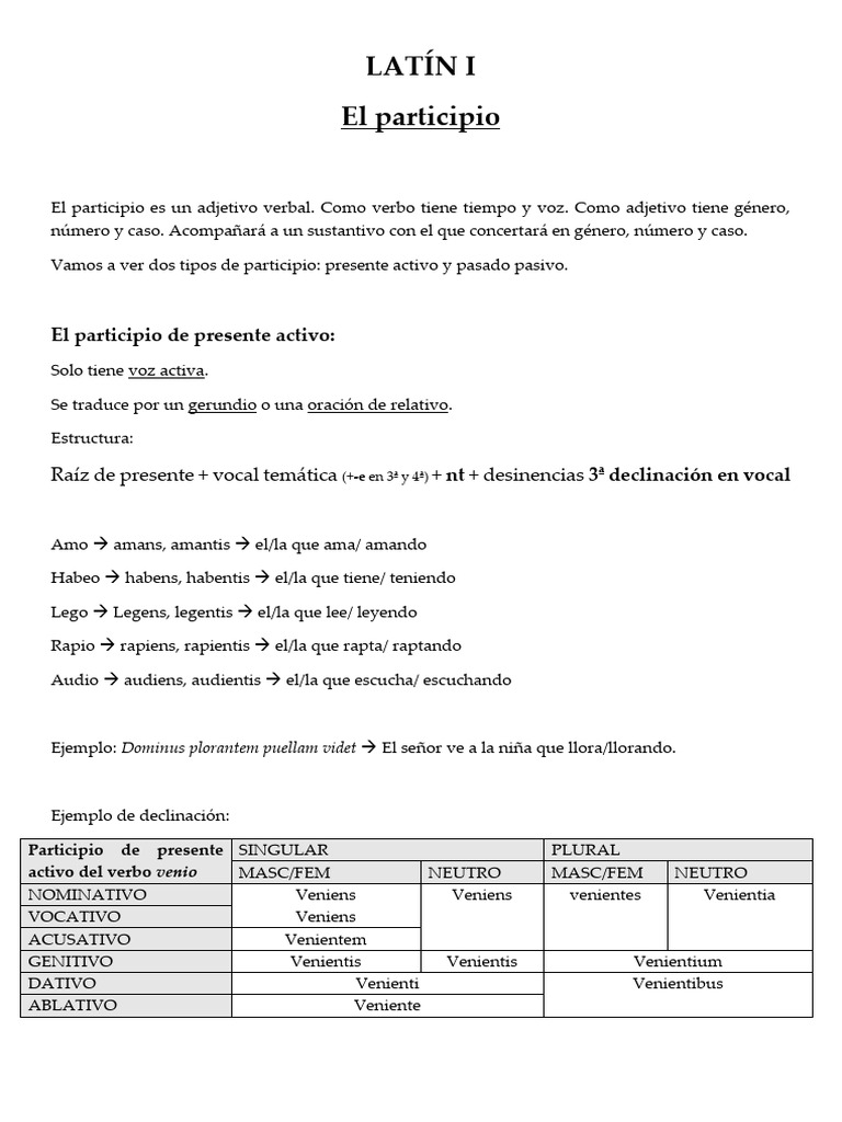 Teoría Participio | PDF | Verbo | Género gramatical