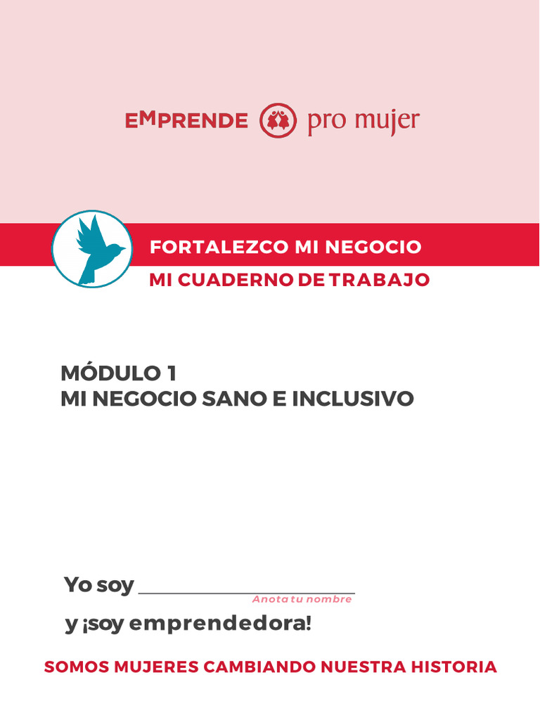 Modulo 1 Diagnostico de Mi Negocio | PDF