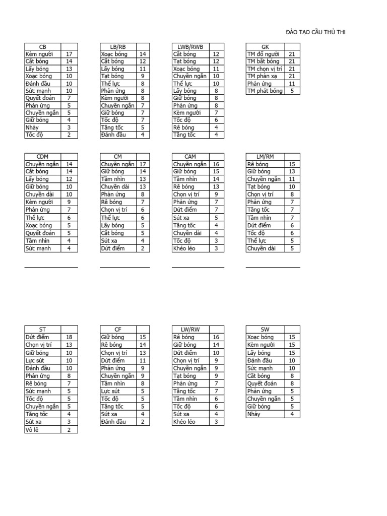 Đào Tạo Cầu Thủ.xlsx - Sheet1 | PDF