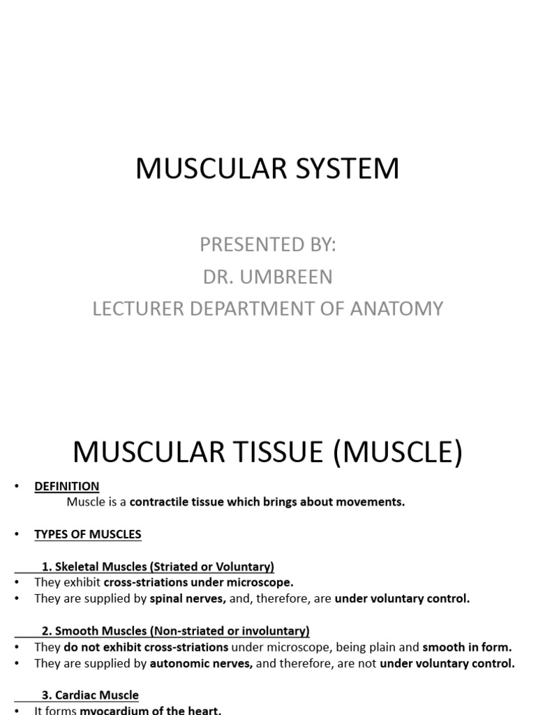 muscular system | PDF