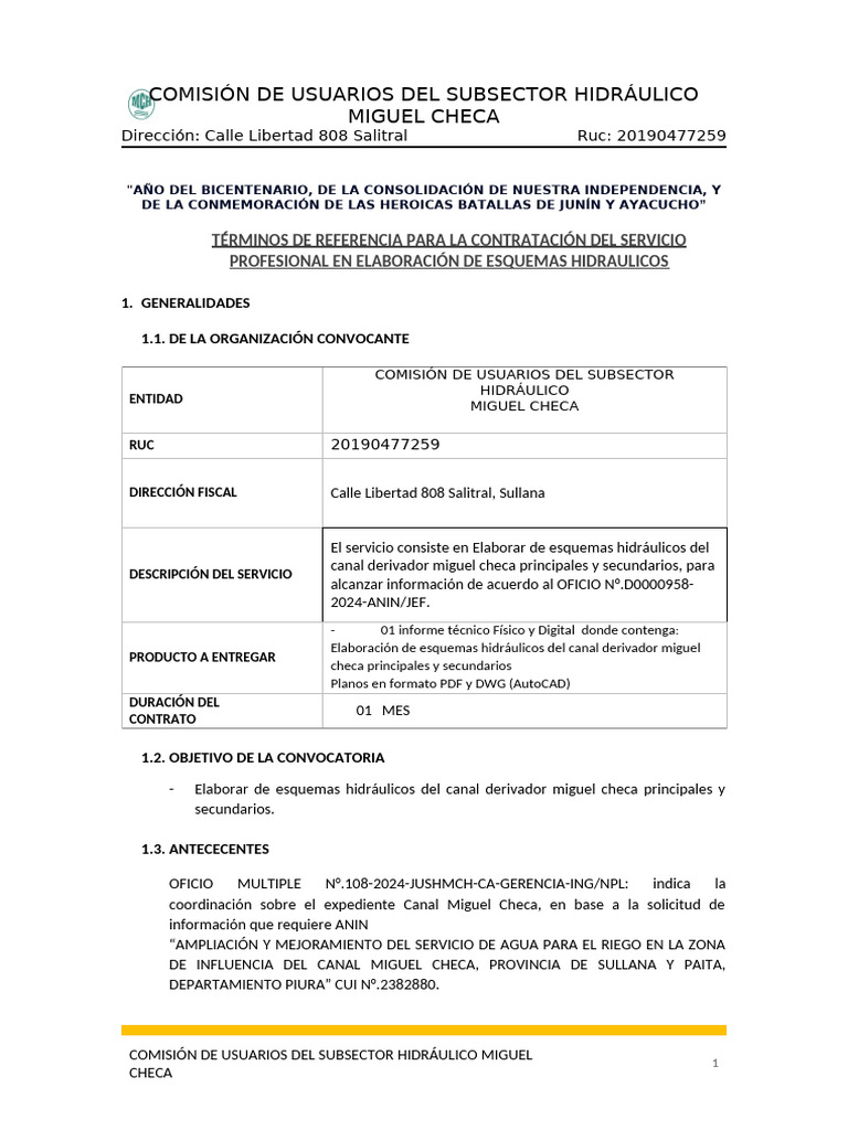 REV-TDR - chequear | PDF