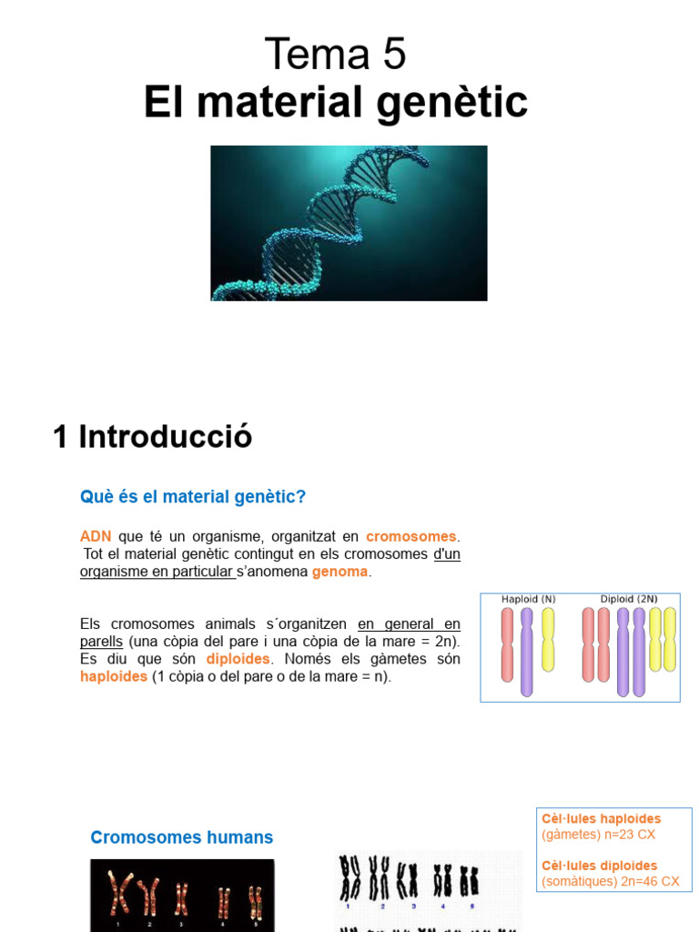 Tema 5_ El material genètic_ADN | PDF