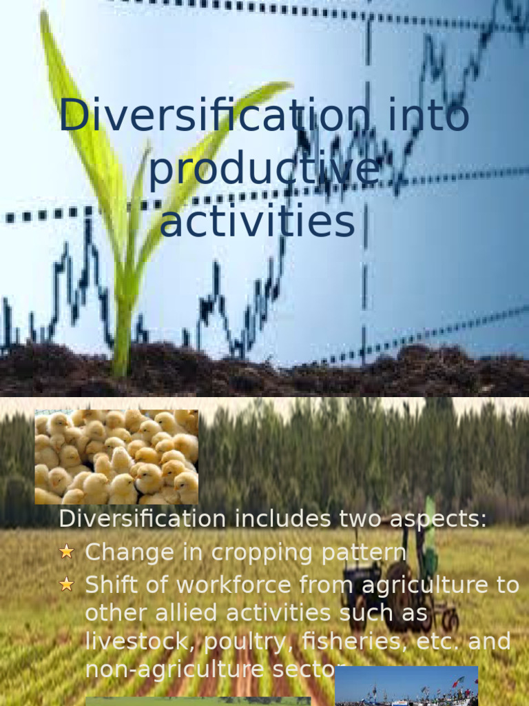 Diversification Into Productive Activities | PDF