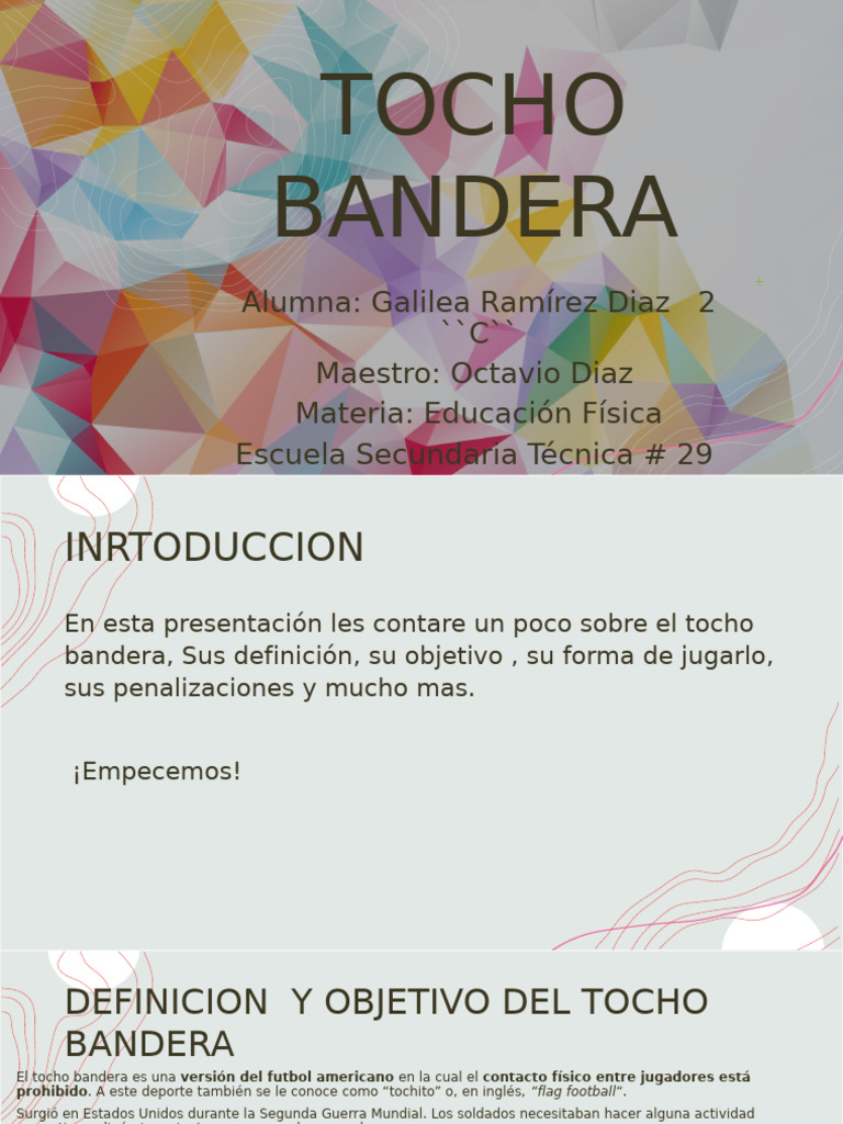 Tocho Bandera | PDF