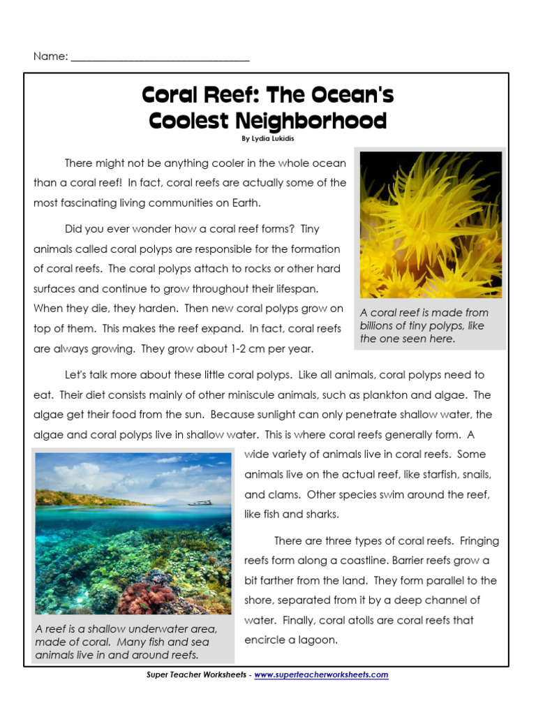 4th Coral Reefs CORAL | PDF