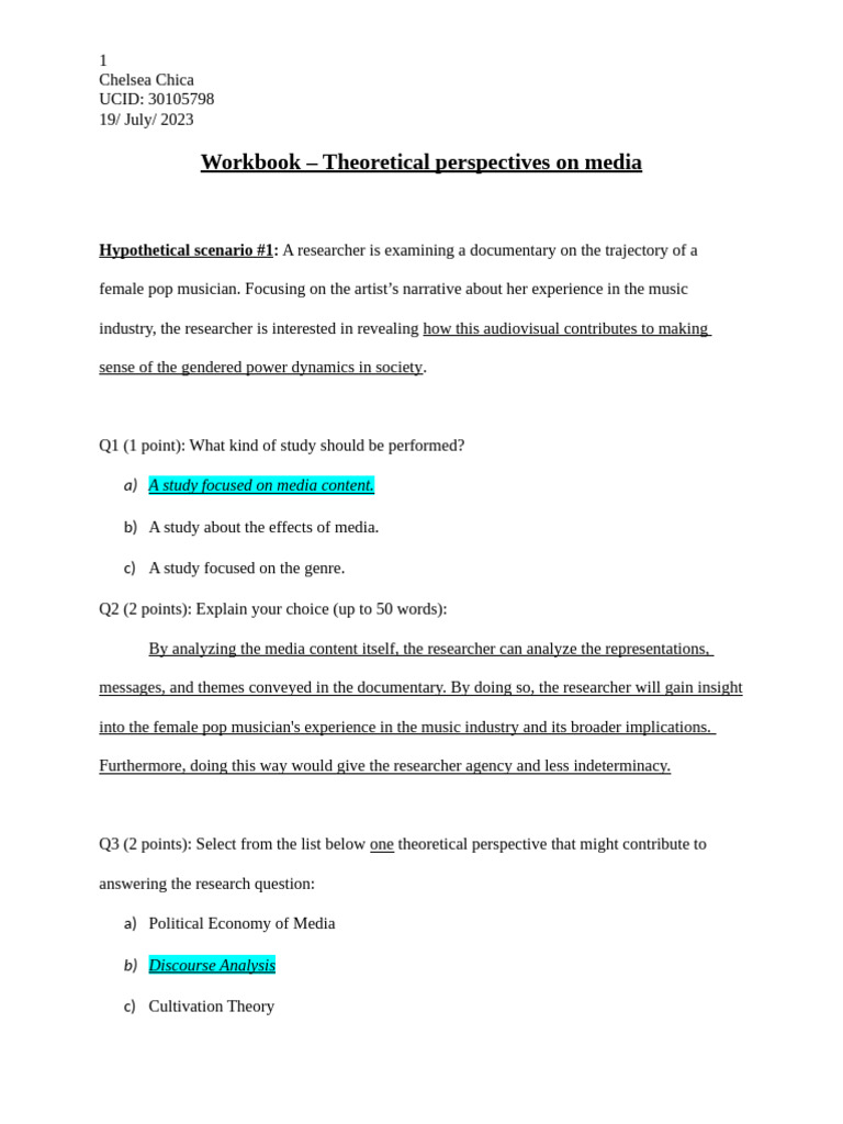 Workbook - Theoretical Perspectives On Media | PDF