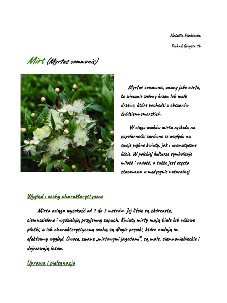 Mirt | PDF