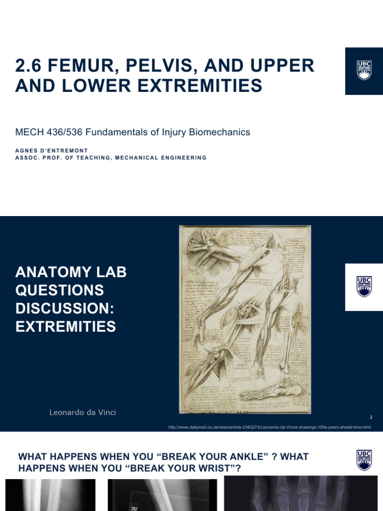 2-6 Femur Pelvis Extremities 2023W | PDF