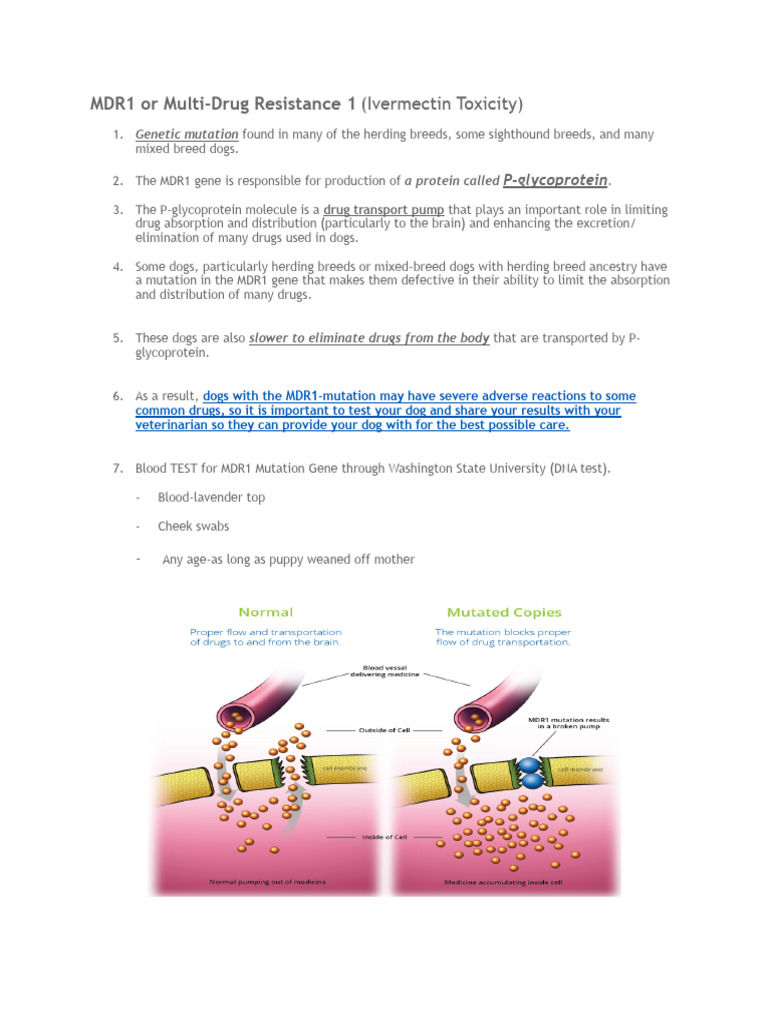 MDR1 - Drug Resistance (Ivermectin Toxicity) | PDF