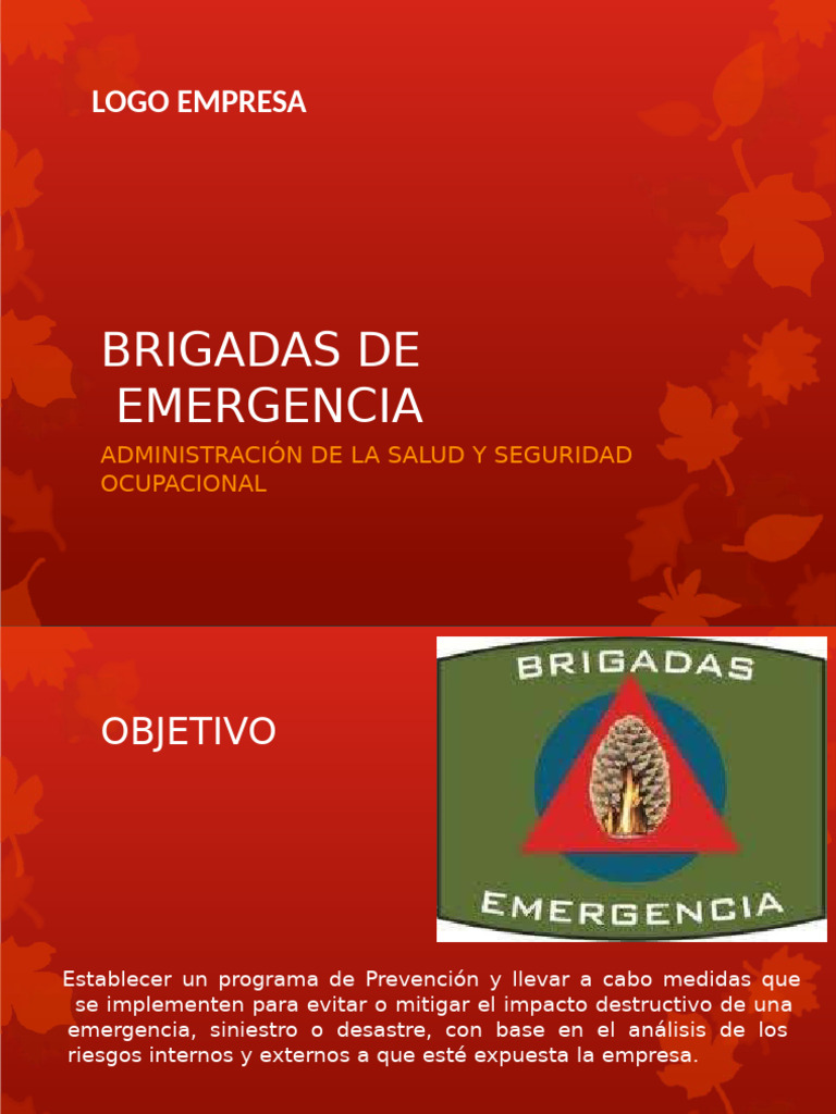 Power Point Brigadas de Emergencia | PDF