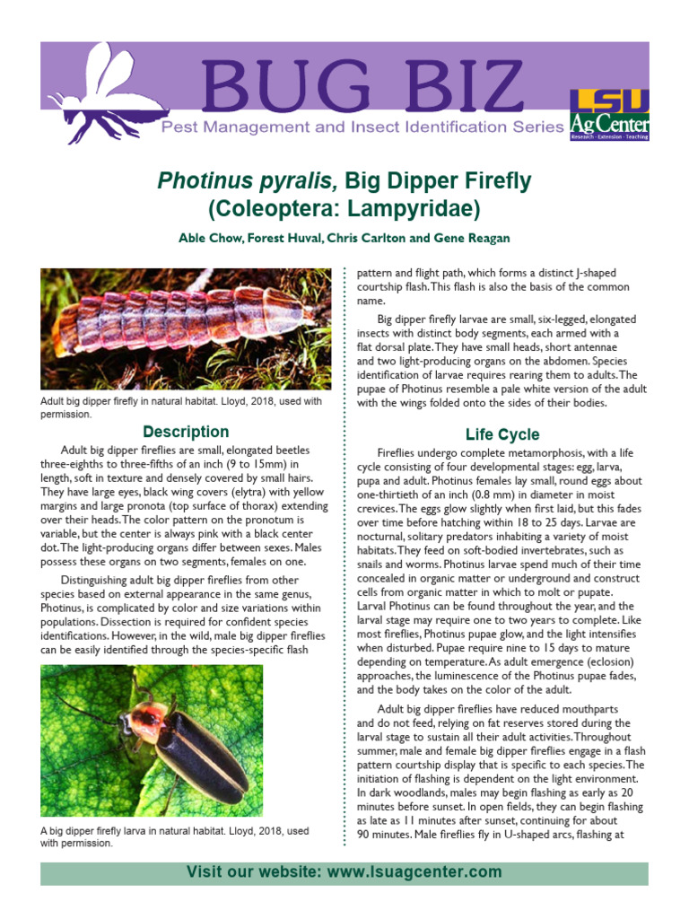 Big Dipper Fireflypdf | PDF