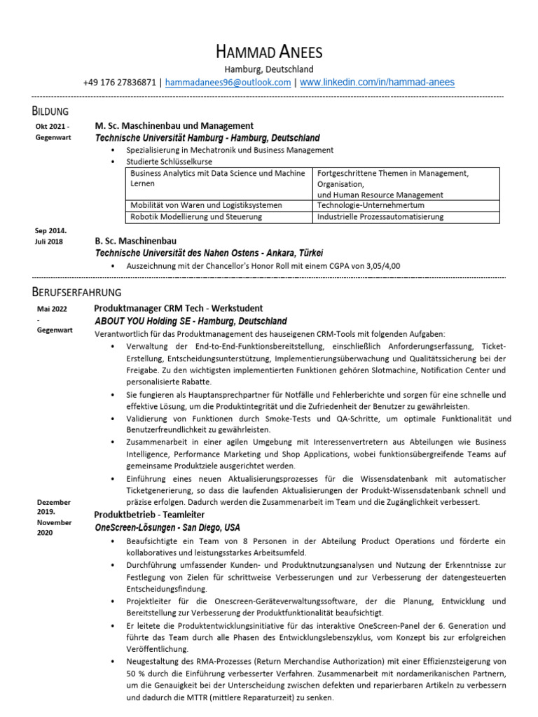 Hammad-Anees-CV-2024 de | PDF