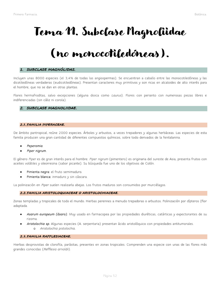 Tema 11. Subclase Magnoliidae (No Monocotiledóneas) . | PDF
