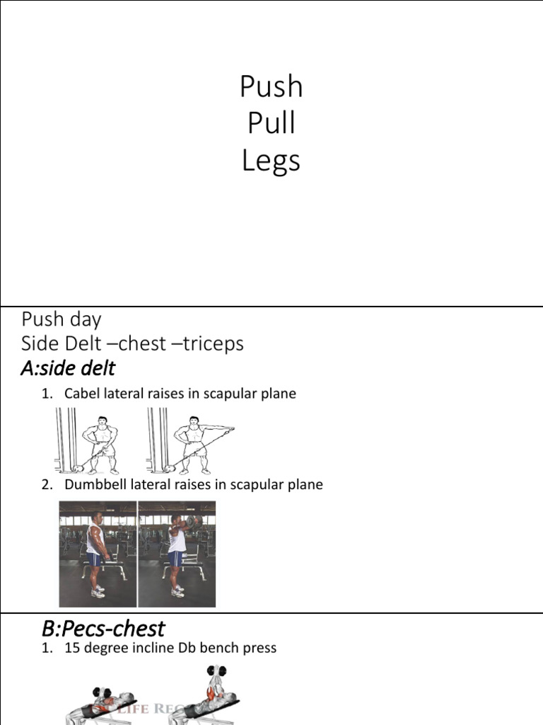 Push Pull Legs | PDF