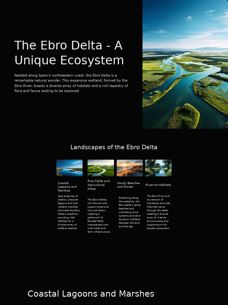 The Ebro Delta a Unique Ecosystem | PDF