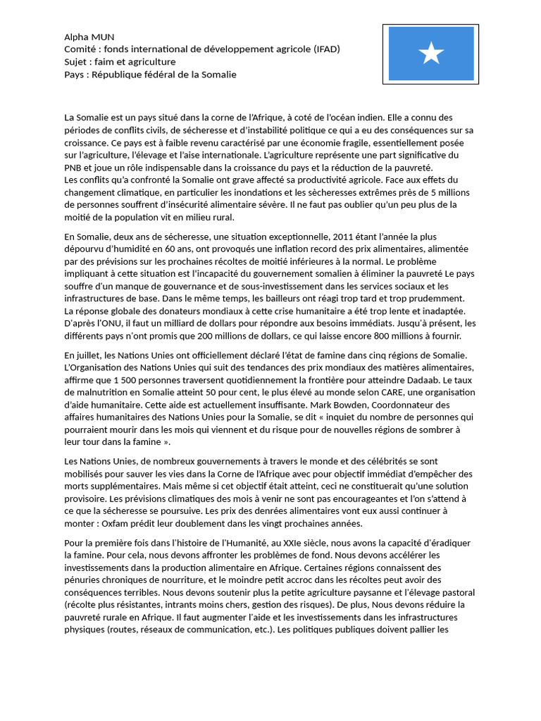 Somalie Position Paper | PDF