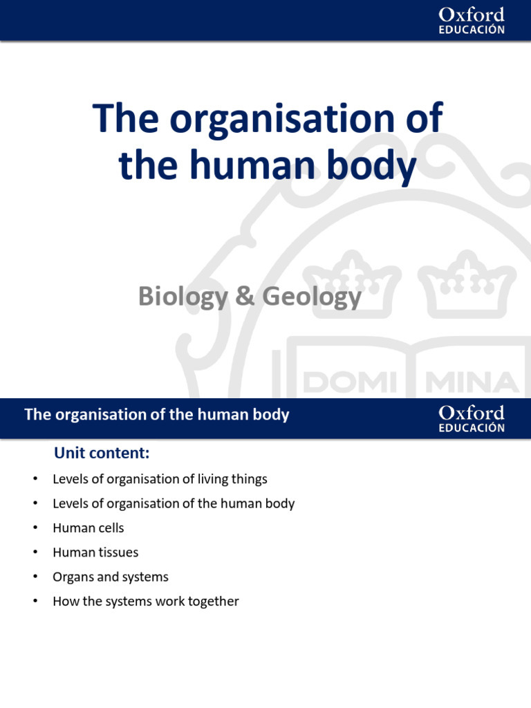 Unit 1 - The Organisation of The Human Body | PDF