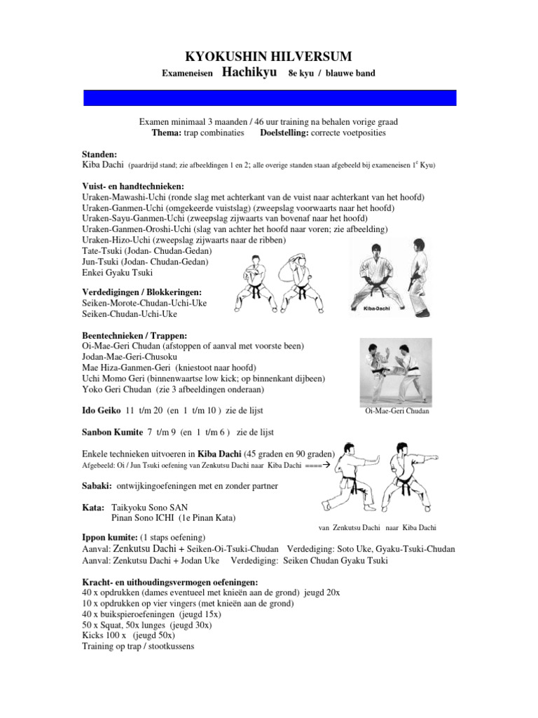 Examen Eisen 8e Kyu | PDF