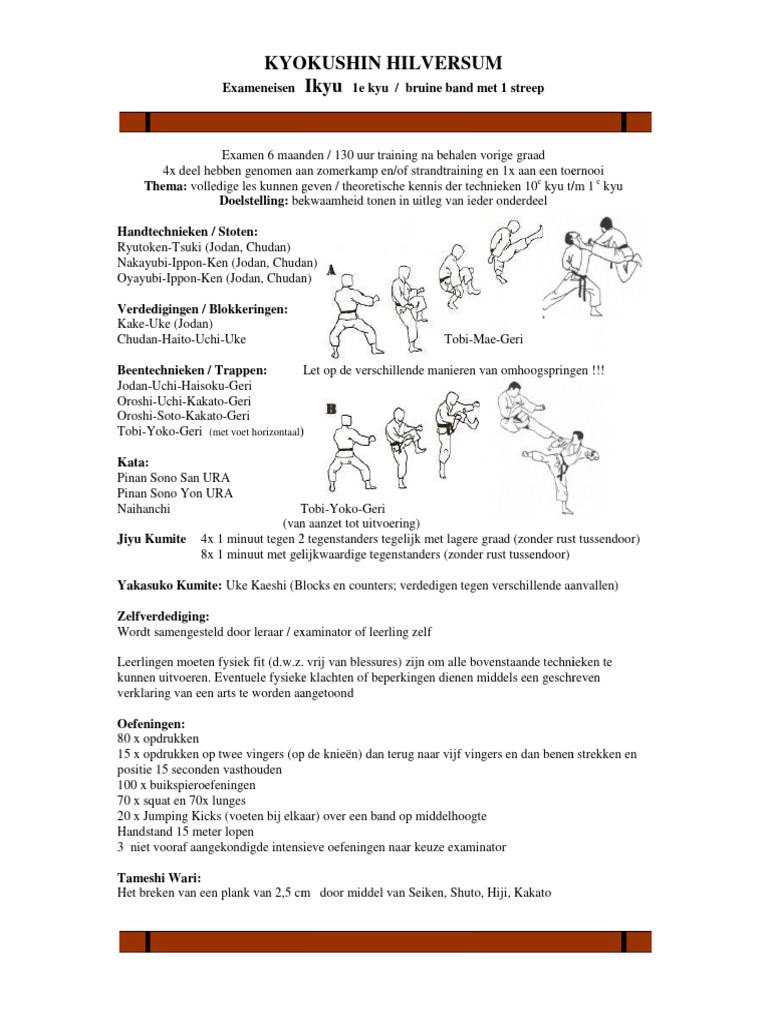 Examen Eisen 1e Kyu | PDF