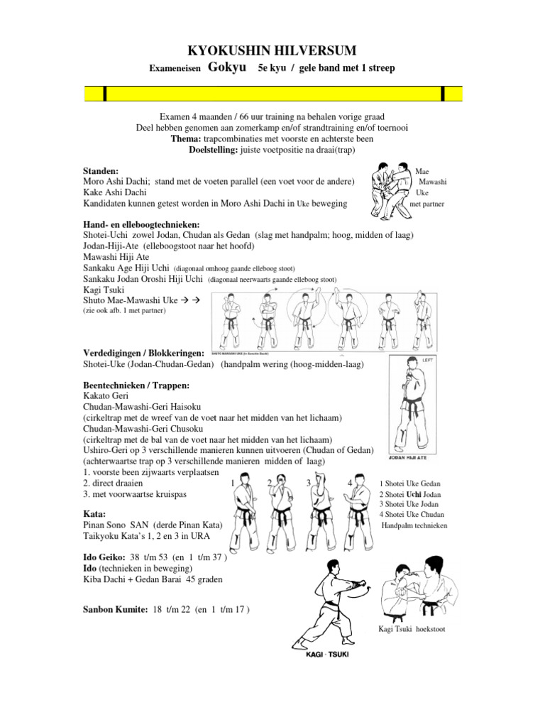 Examen Eisen 5e Kyu | PDF