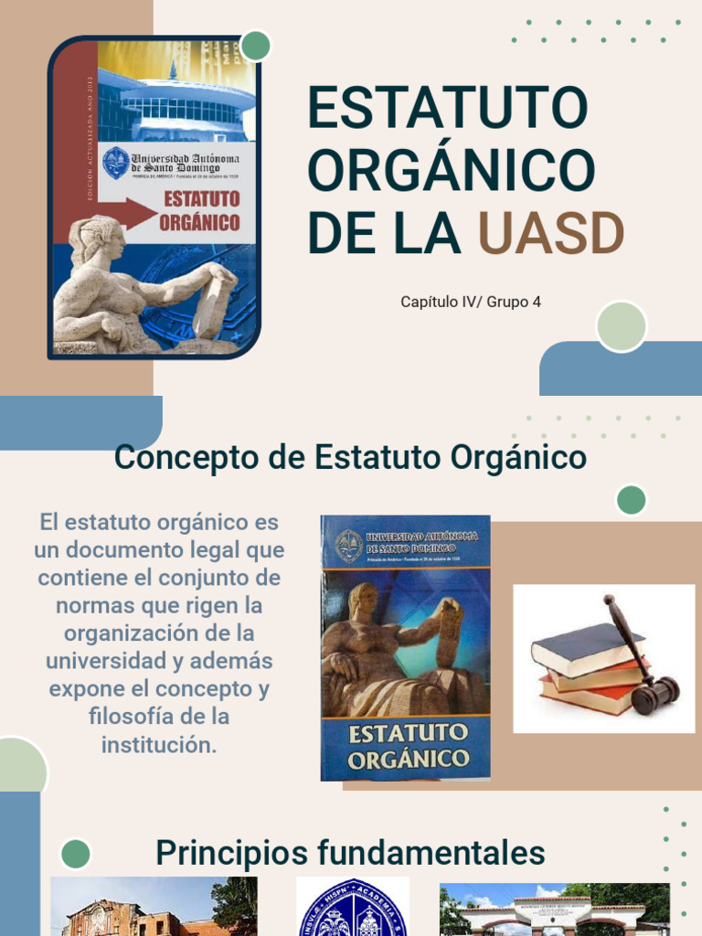 Estatuto Orgánico | PDF